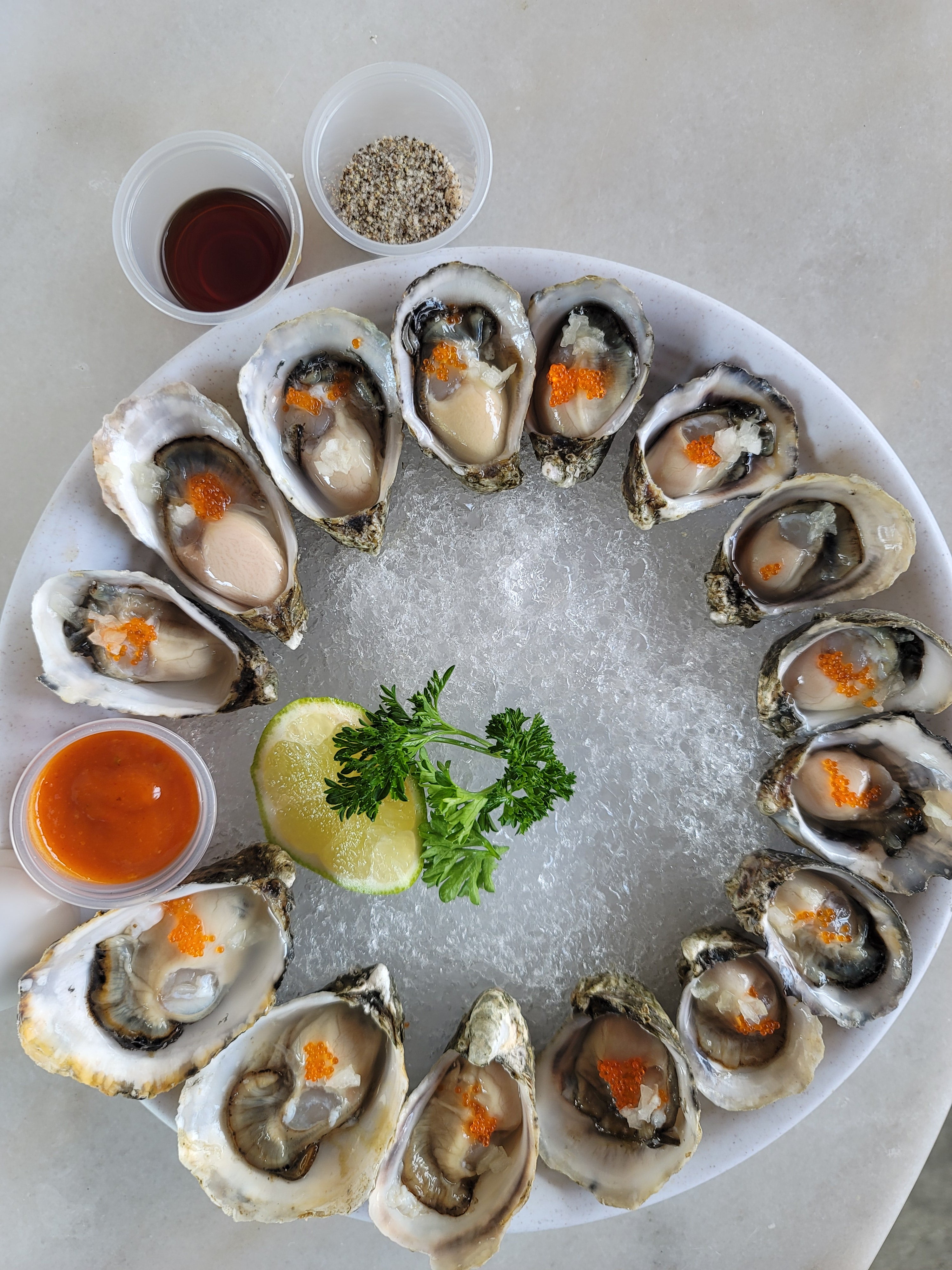 Shigoku Oyster – HoangGiaSecret.com